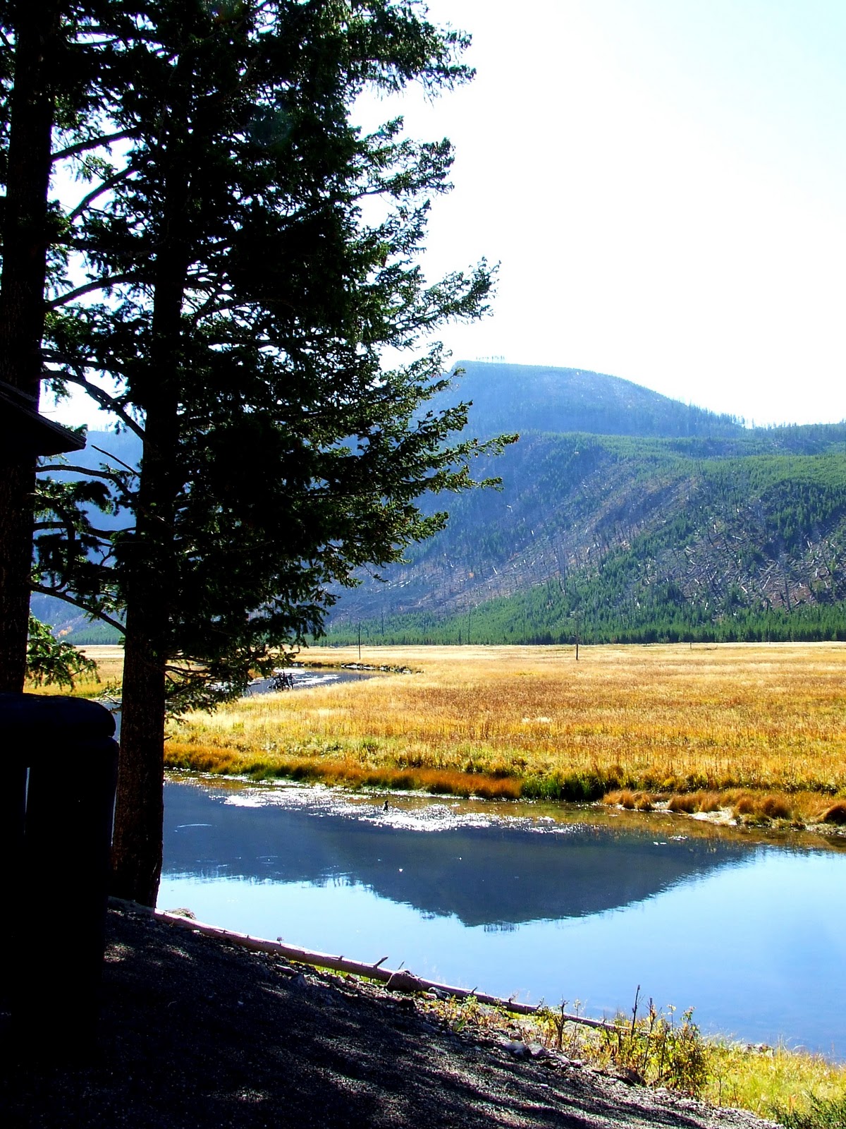 Somethin' Salvaged: Roadtrip October 2011 Part 3 Home Bound: Mount ...