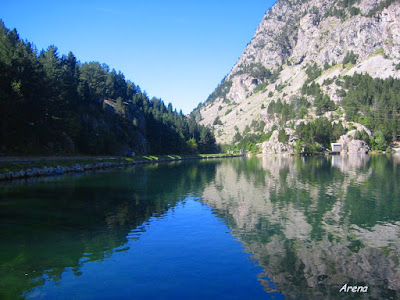 Hoy empieza todo,un mar de sentimientos.: 2011