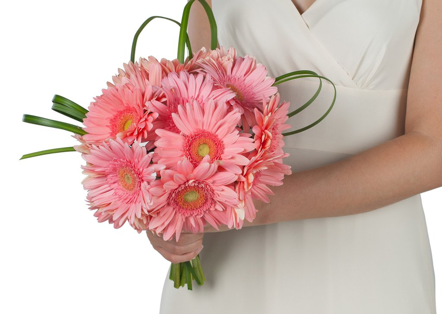 Gerberas wedding flower ~ wedding flowers ideas