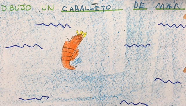 Little Big Heroes: PROYECTO...¡CABALLITOS DE MAR!