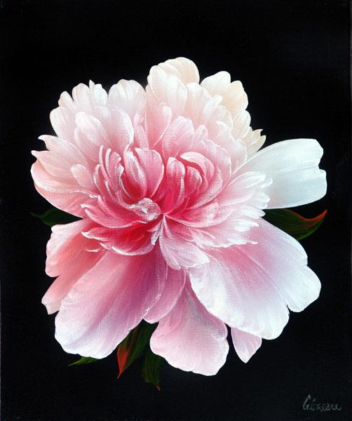 Maher Art Gallery: Alain Geneau French born 1935