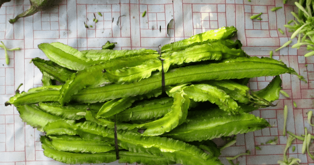 Manfaat Sayur Kecipir - Di Lihat Yaaa.....