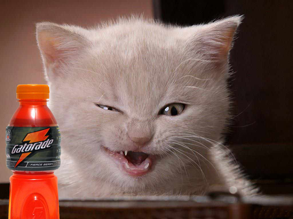 dipyadip: Gatorade