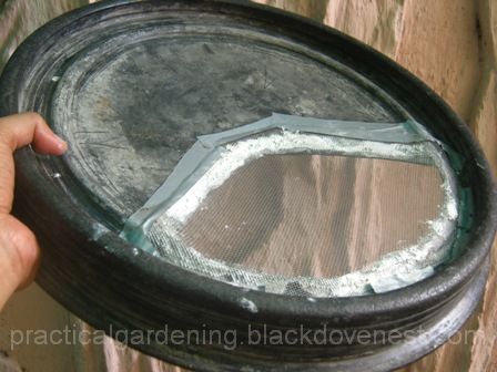 Practical Gardening: Collecting Rainwater with a Rain Barrel