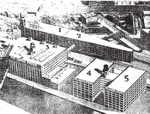 Towns and Nature: Chicago, IL: Cuneo Press