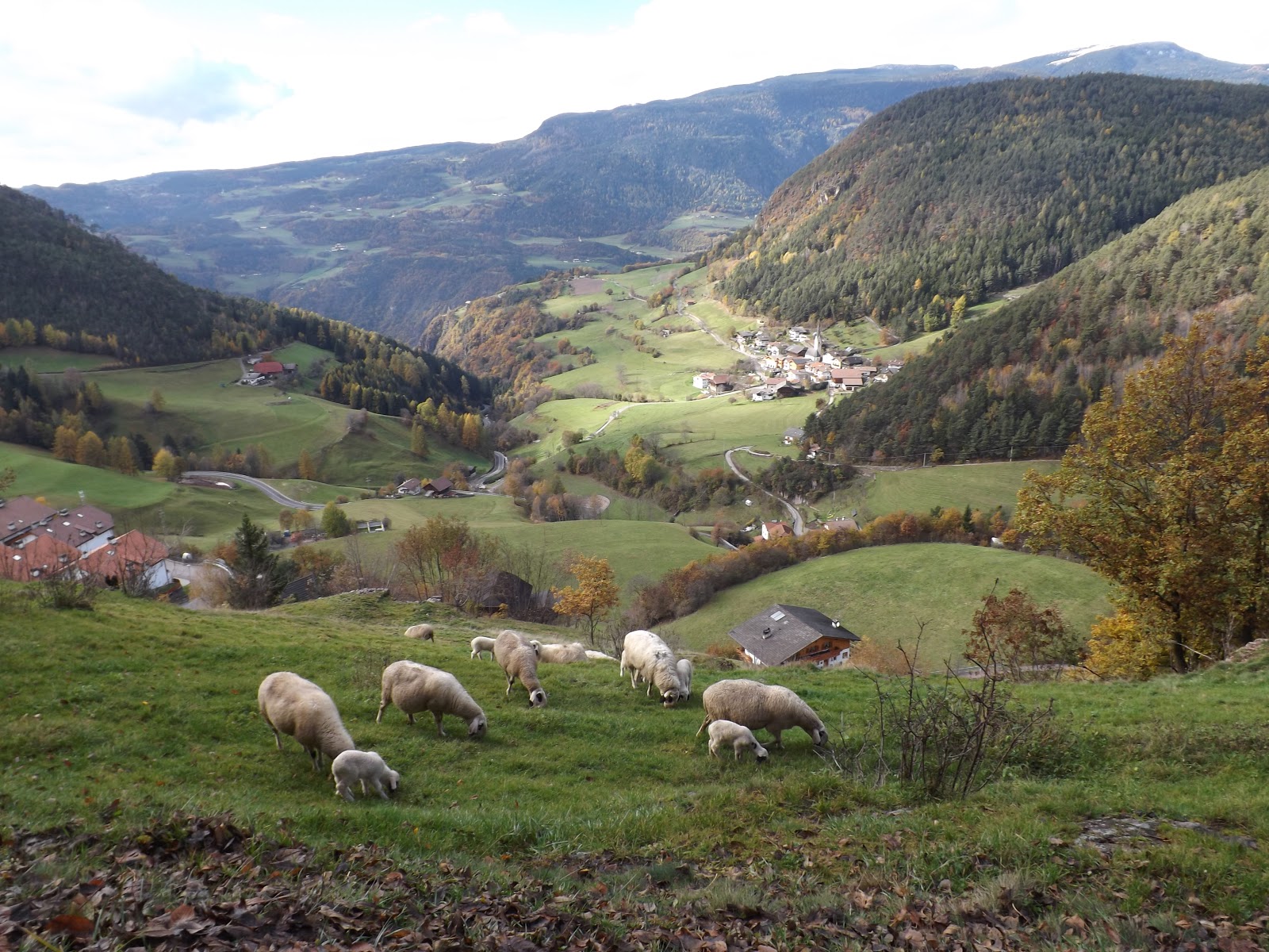 The Downeaster 'Alexa': Exploring Italy: Venice, Bolzano, Padua, Verona ...