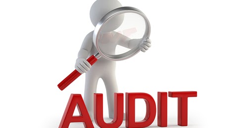 Kedondong Plum: POJOK AUDIT: Sekilas Mengenai Dunia Auditor
