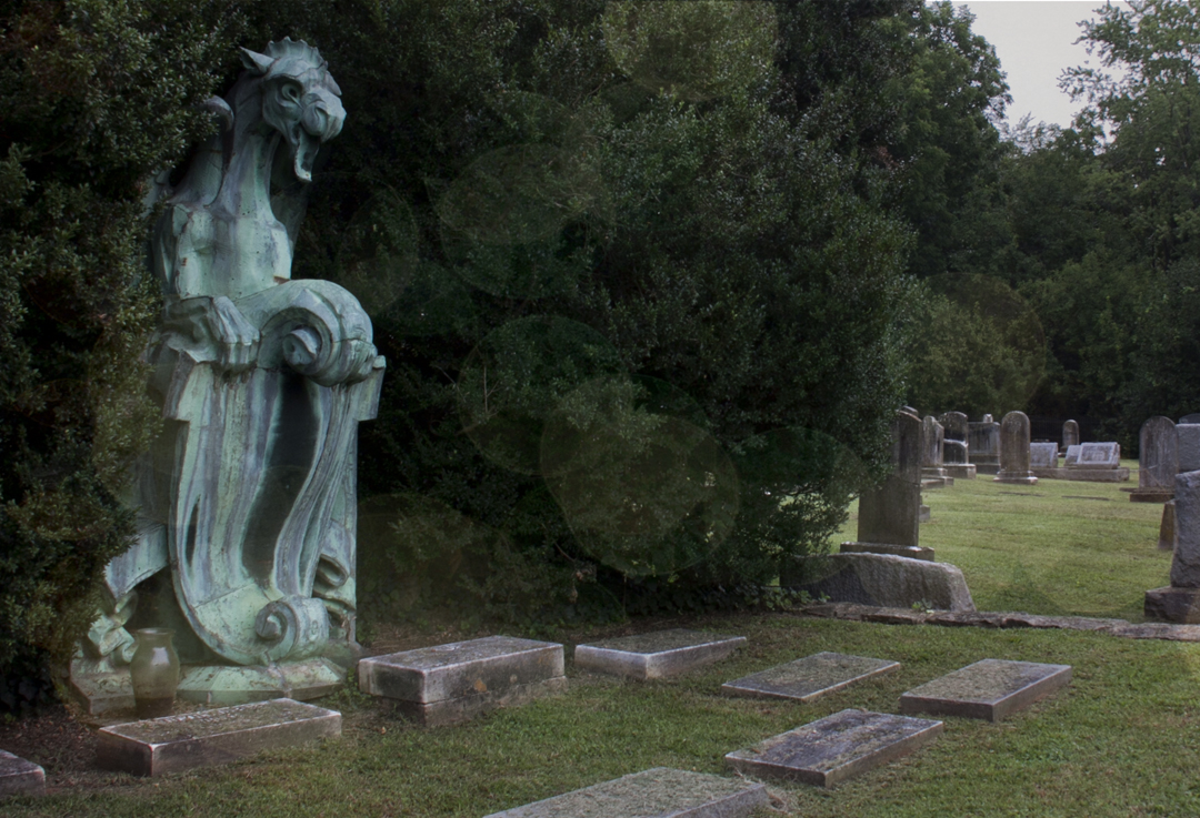 Lucent Moments: Mt. Sharon Cemetery, Middleburg VA