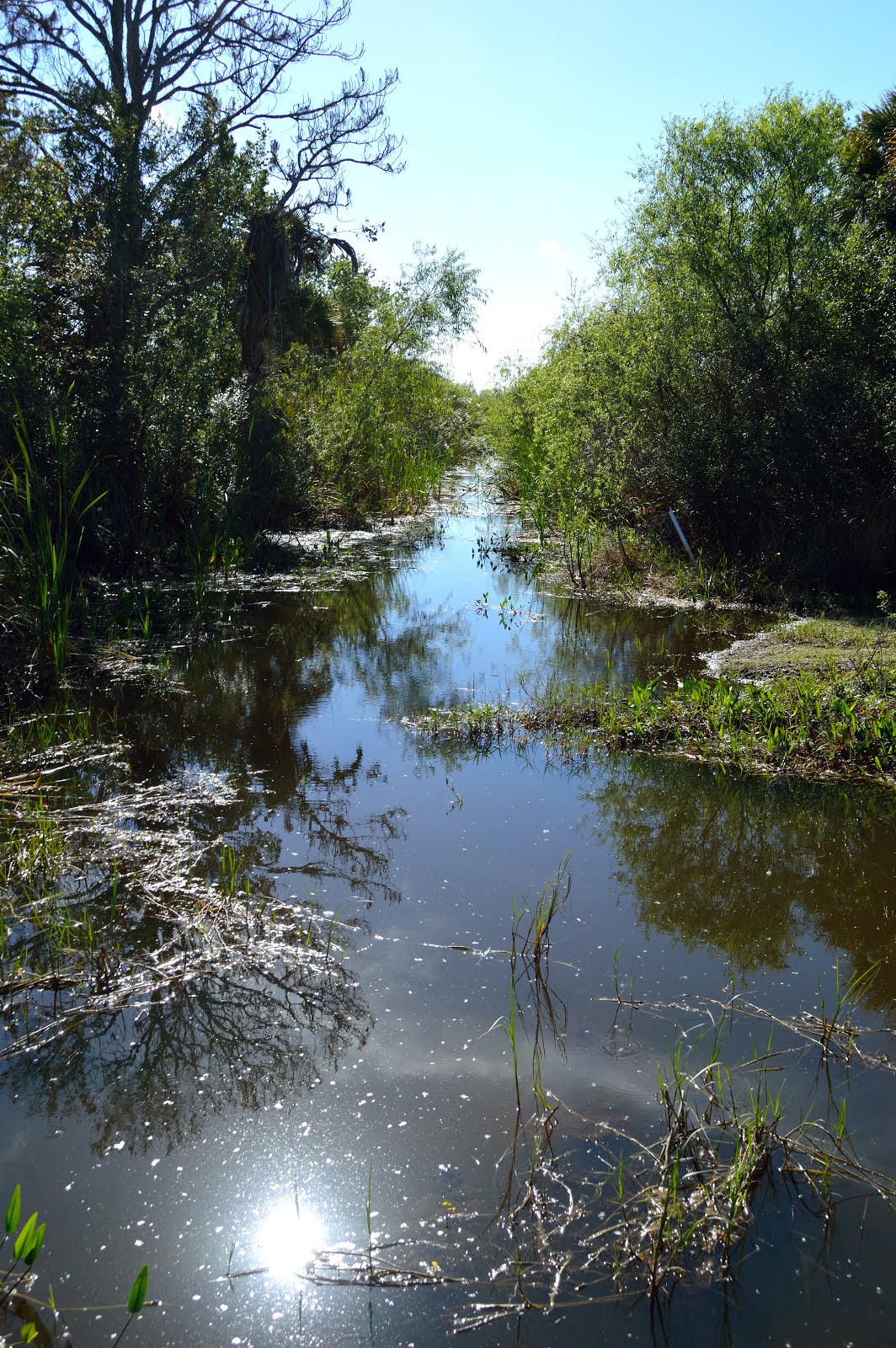 No Bad Days RVing: CREW Marsh Trail