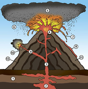 Naturvetenskap och teknik i förskolan: Inför exkursionsdagar: