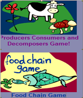 EL BLOG DE QUINTO / GRADE 5: Ecosystems games