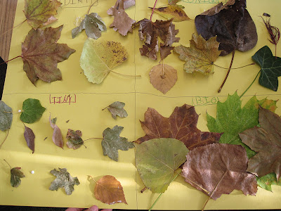 Polka-Dotty Place: Pile of Leaves