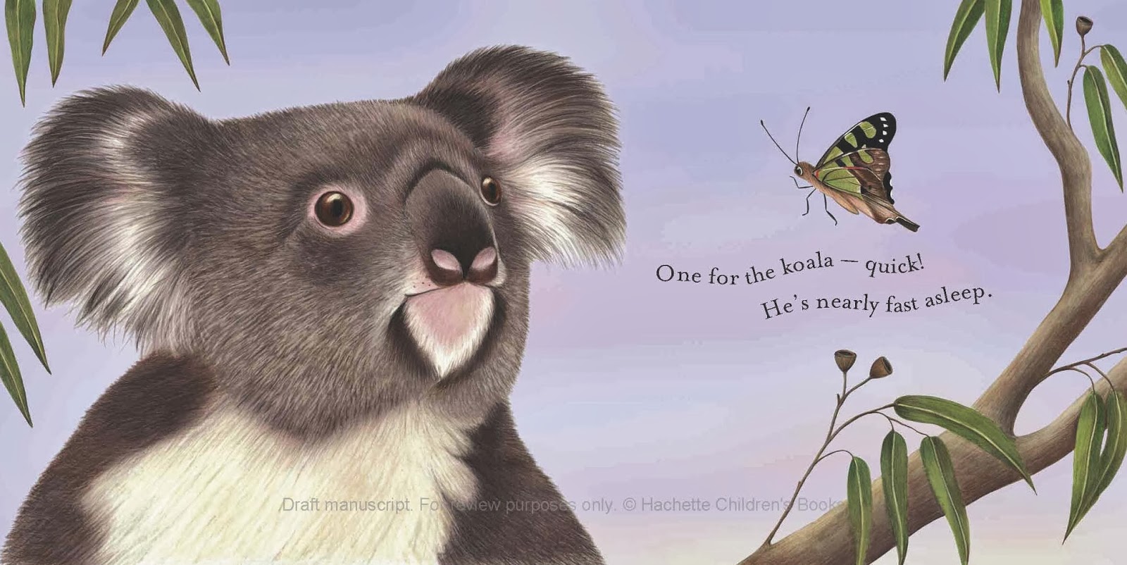 A thing of beauty is a joy forever: Karen Hull