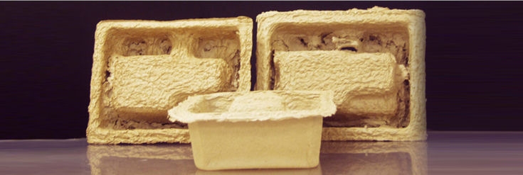 TriplABlog: Moulded Pulp Packaging