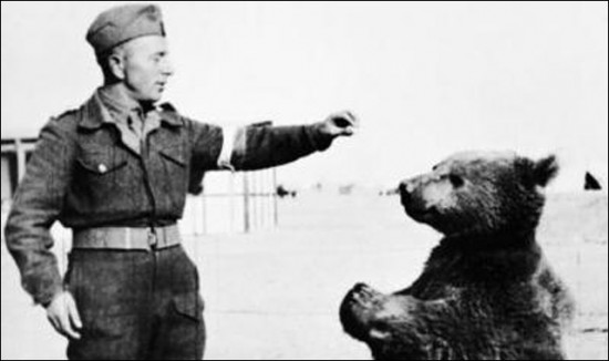 Private Wojtek – The Soldier Bear Who Fought Nazis in WW2 - Common ...