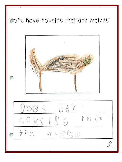 Joyful Learning In KC: Animal Research Writing