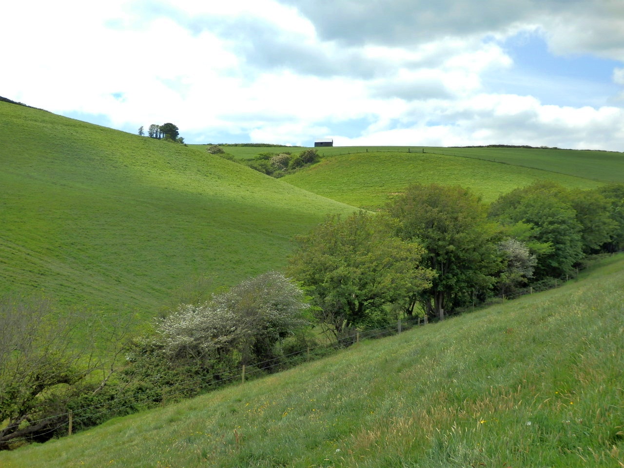 Mike's Cornwall: An Easy Walk at Pentewan, Cornwall Taking In Trees ...