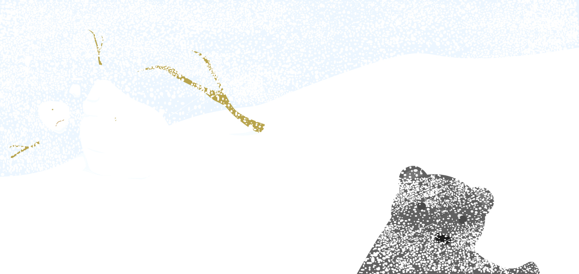 Ballando con Sofia: NO – Claudia Rueda