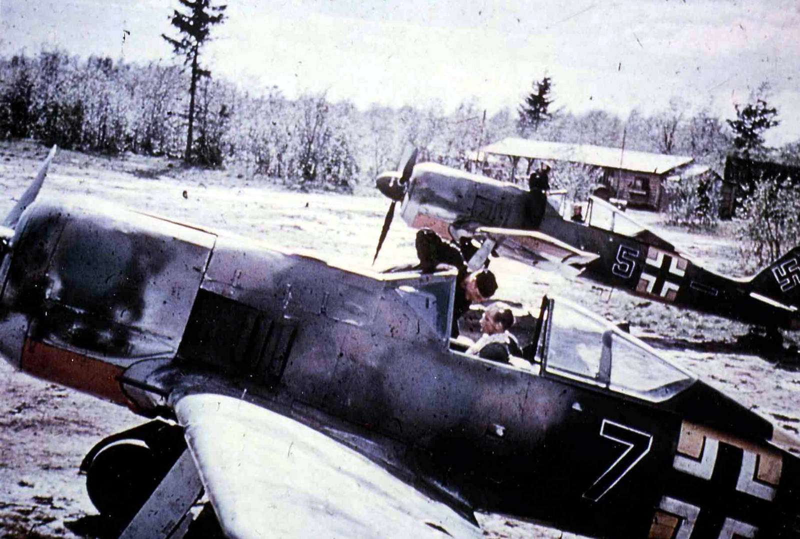 World War II in Color: Fw 190s of JG 54 on the Eastern Front