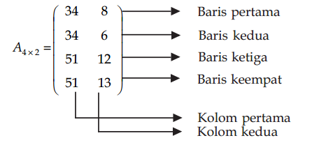 Jenis Matriks Berdasarkan Ordo dan Elemen-Elemen Matriks - Horison ...