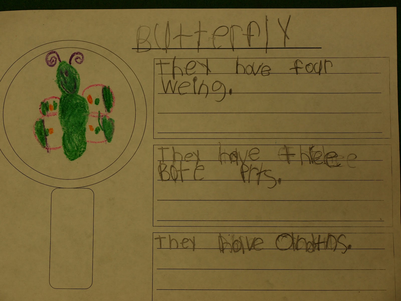 Butterflies and vocabulary - Mrs. Jump's Class