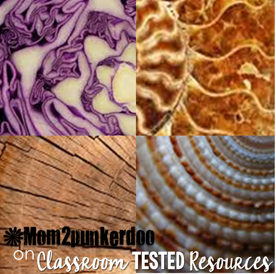 Using Patterns To Increase Inquiry | Classroom Tested Resources