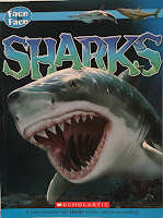 Adventures In Storytime (and Beyond): Shark Attack! Preschool Storytime
