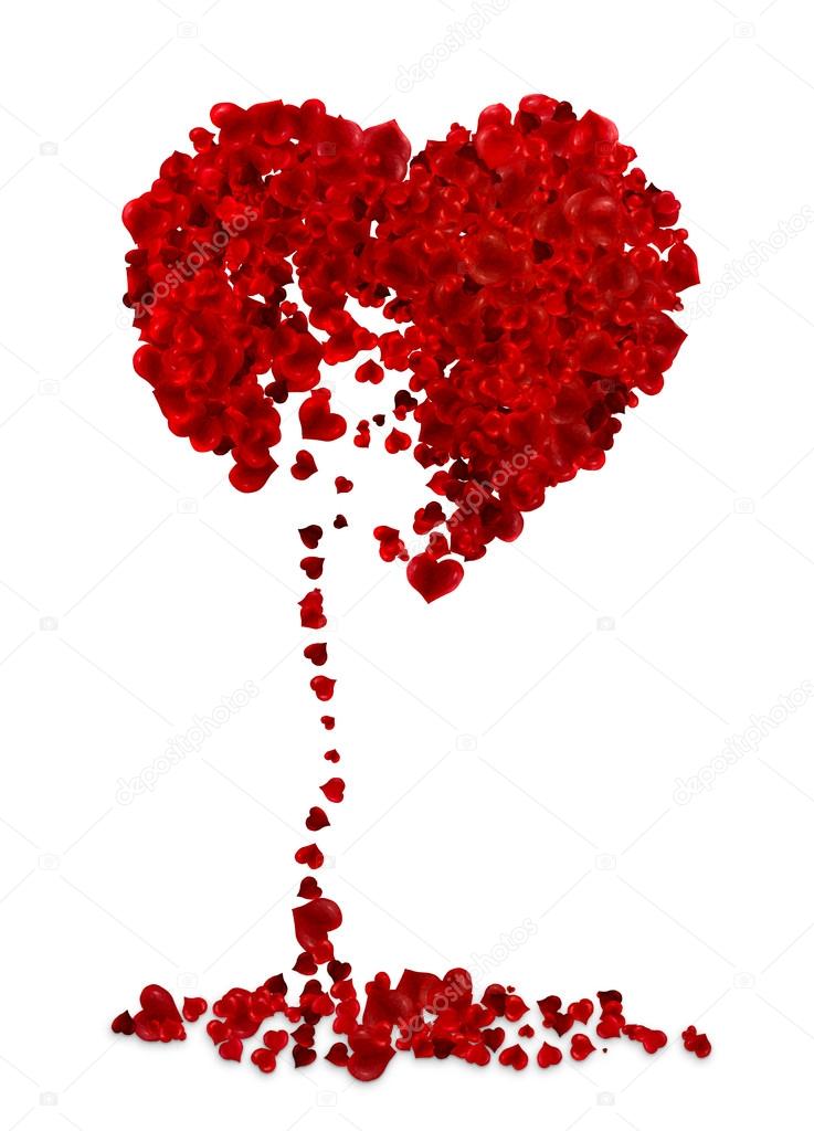 Desgarro al corazón...