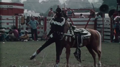 The Department of Afro American Research, Arts and Culture