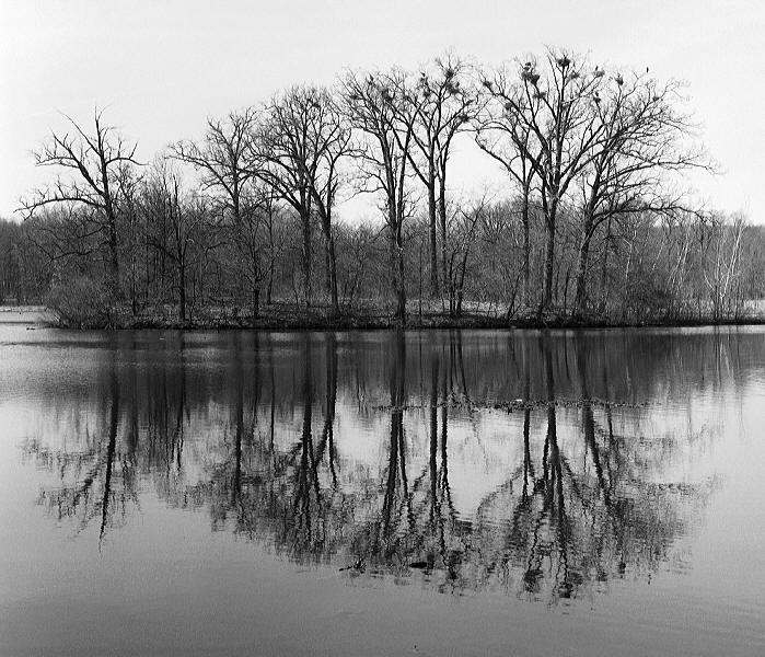 Fifty-Five 55-Word Stories and Other Stuff!