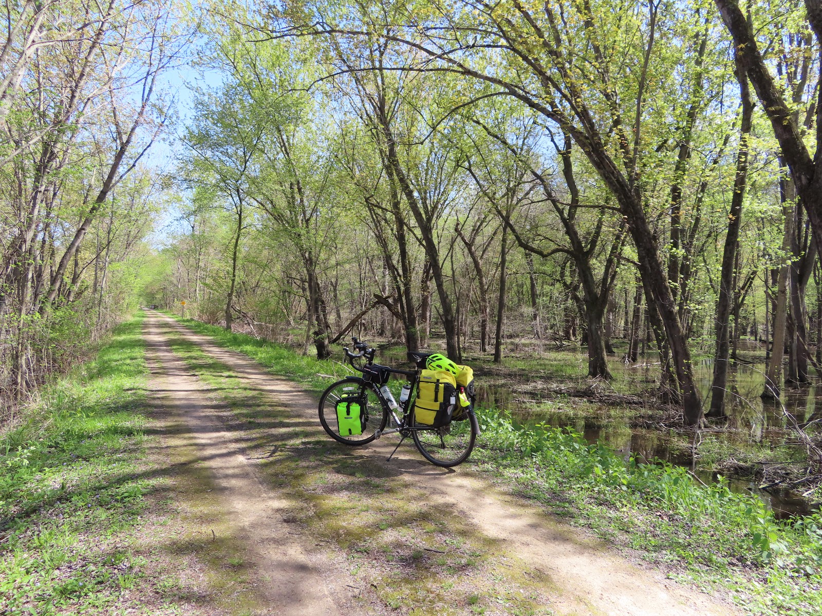 The Big Gear: Birding by bike