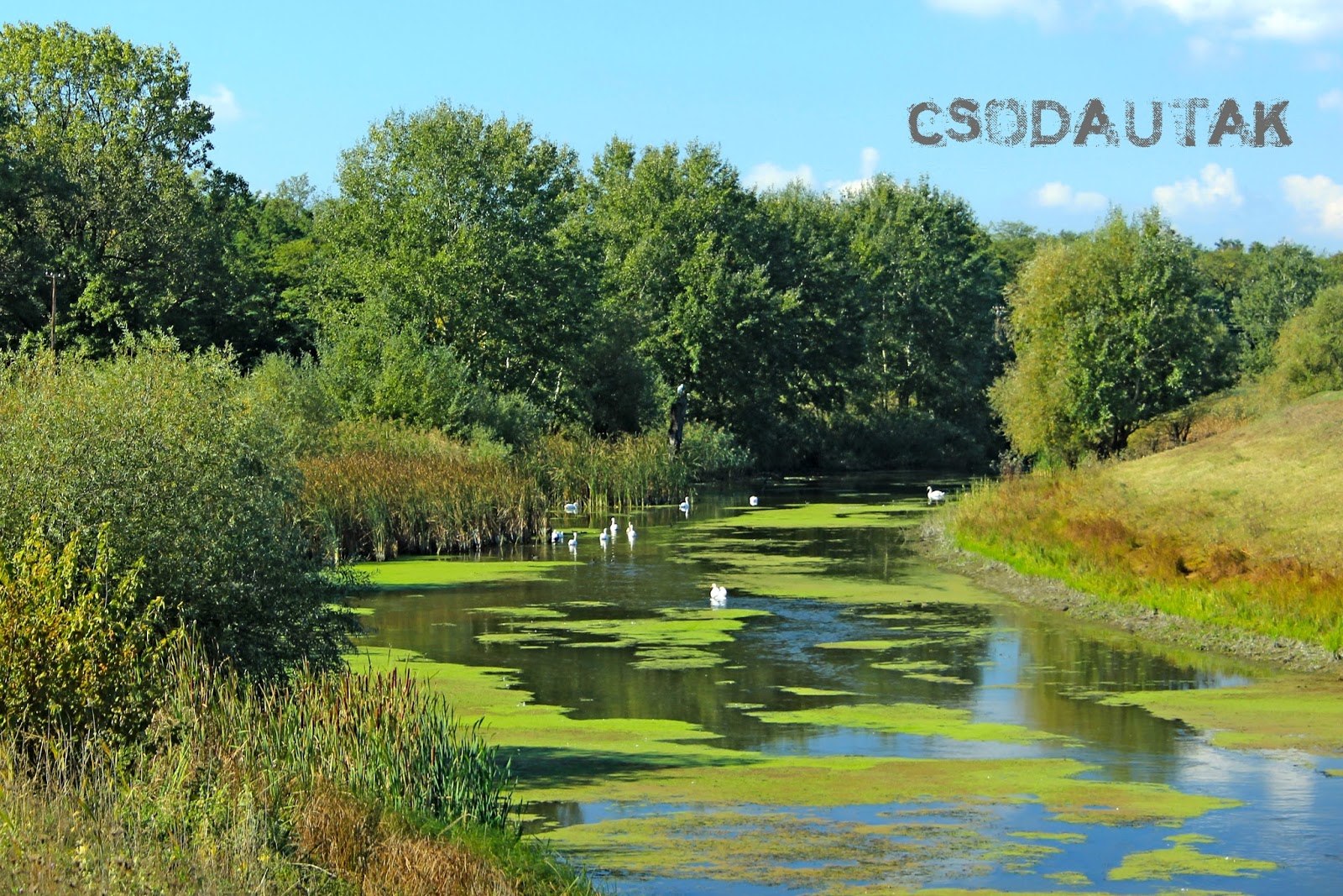 CSODAUTAK: Dong-ér (2016)