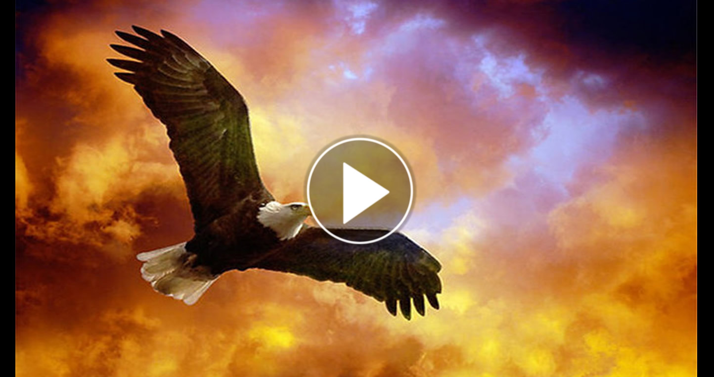 QUIERO VOLAR MUY ALTO - Este vídeo nos emotiva a pensar en lo mas alto ...