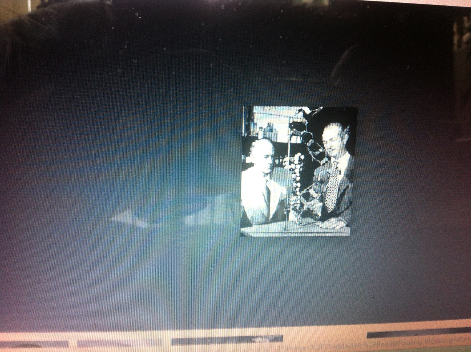 THE BLACK SOCIAL HISTORY:: BLACK SOCIAL HISTORY : AFRICAN AMERICAN ...