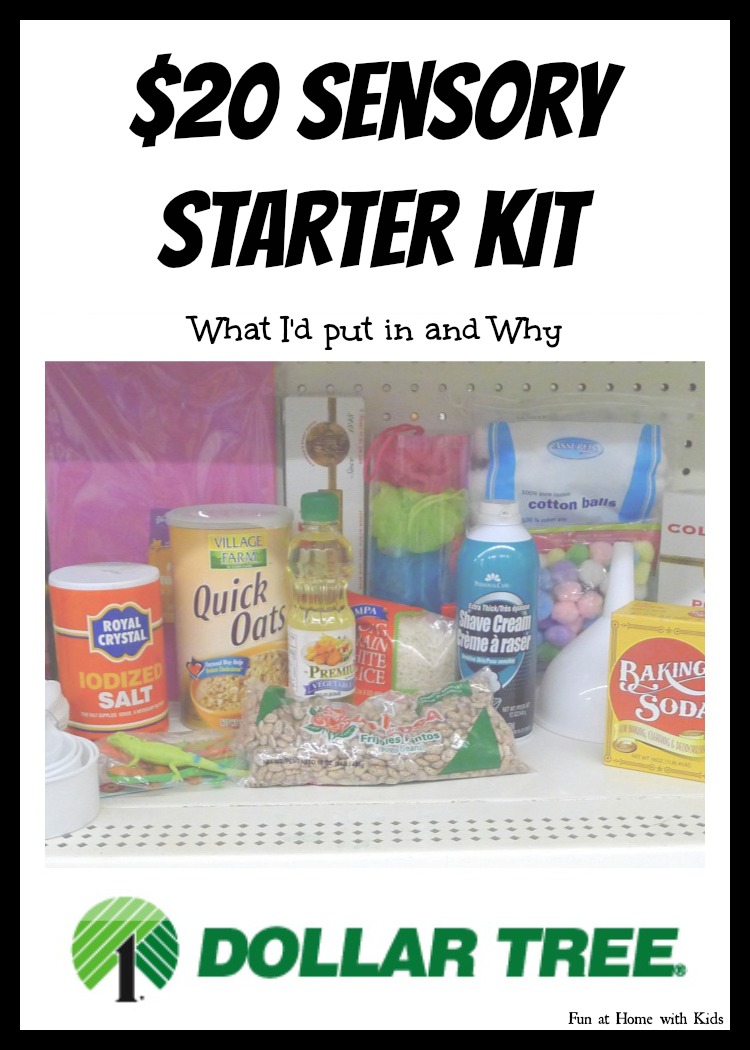 Sensory Starter Kit for under $20 from the Dollar Tree