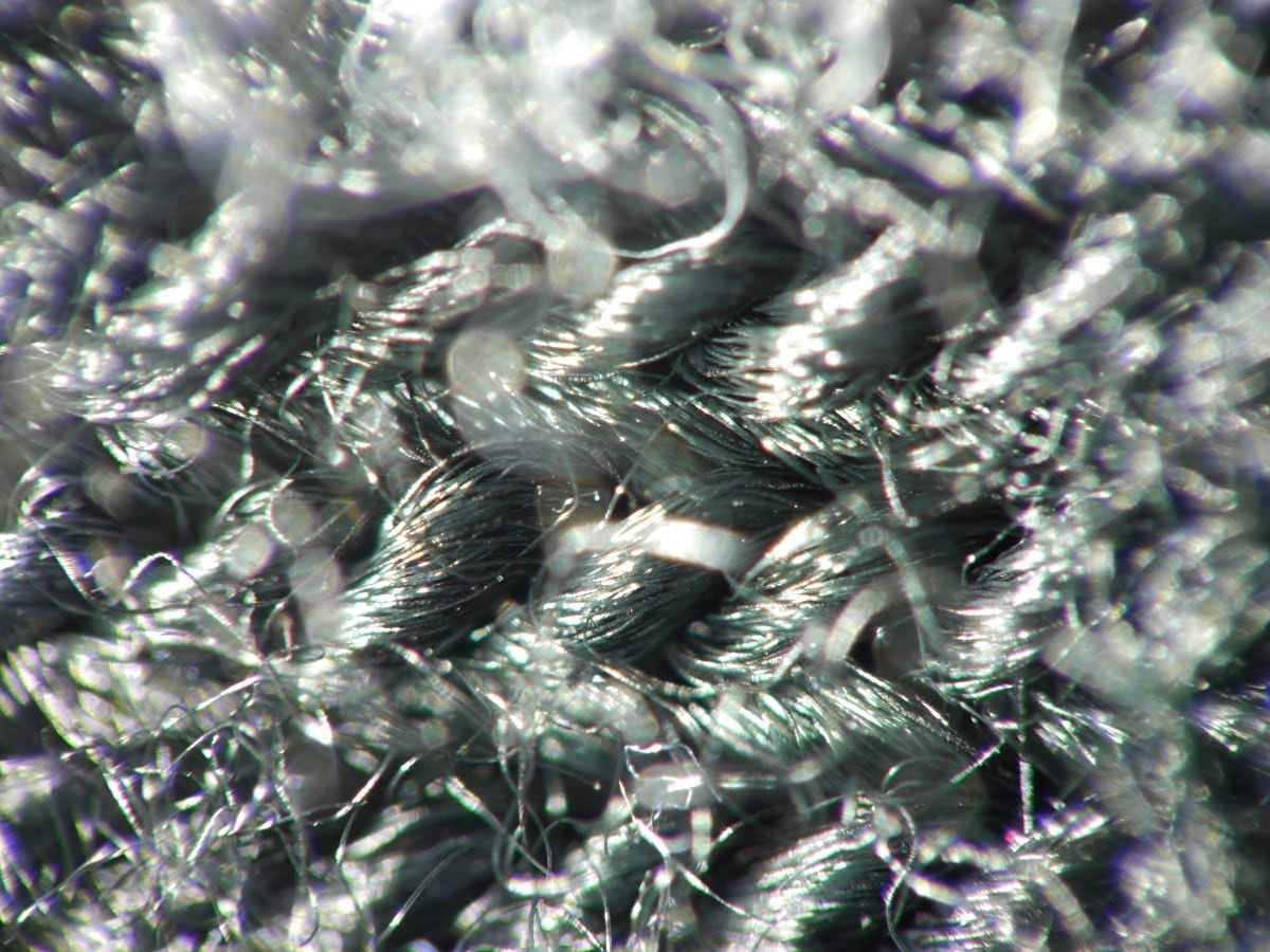 Micro 4/3rds Photography: Reversed normal lens as macro front lens