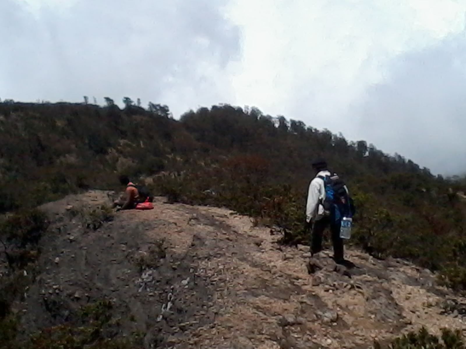 Pendakian Gunung Lawu (pendakian #3) ~ RockClimbers l Official Blog ...