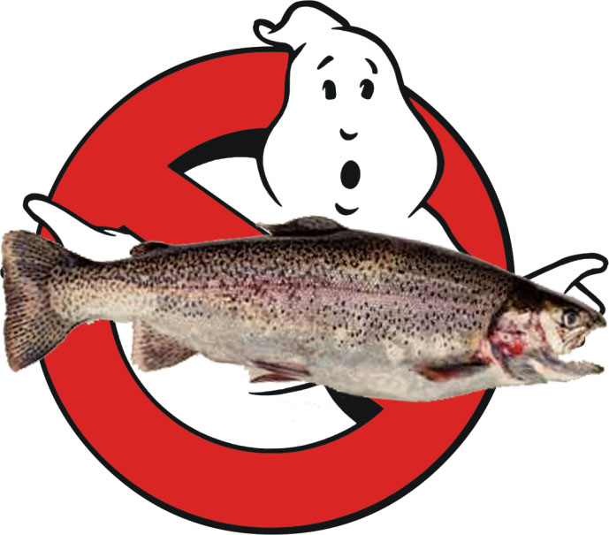 PaperFish - Fish Biology in progress..: Pesca fantasma