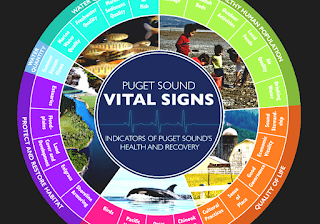 Vital Signs - Human Vital Signs