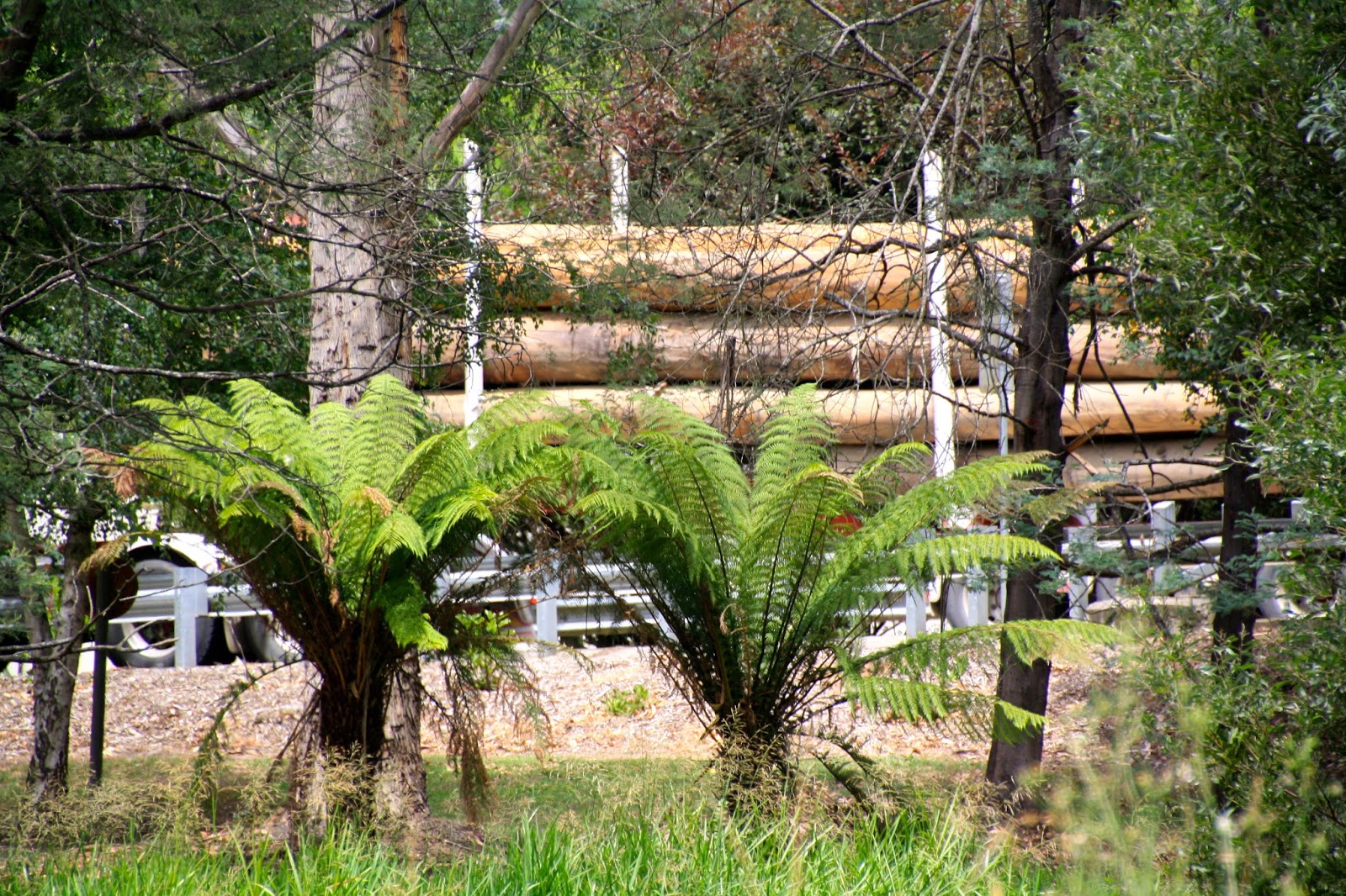 RDO Melbourne: Noojee Town