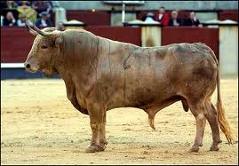 DOS OREJAS Y RABO: PELAJES DEL TORO DE LIDIA: JABONEROS