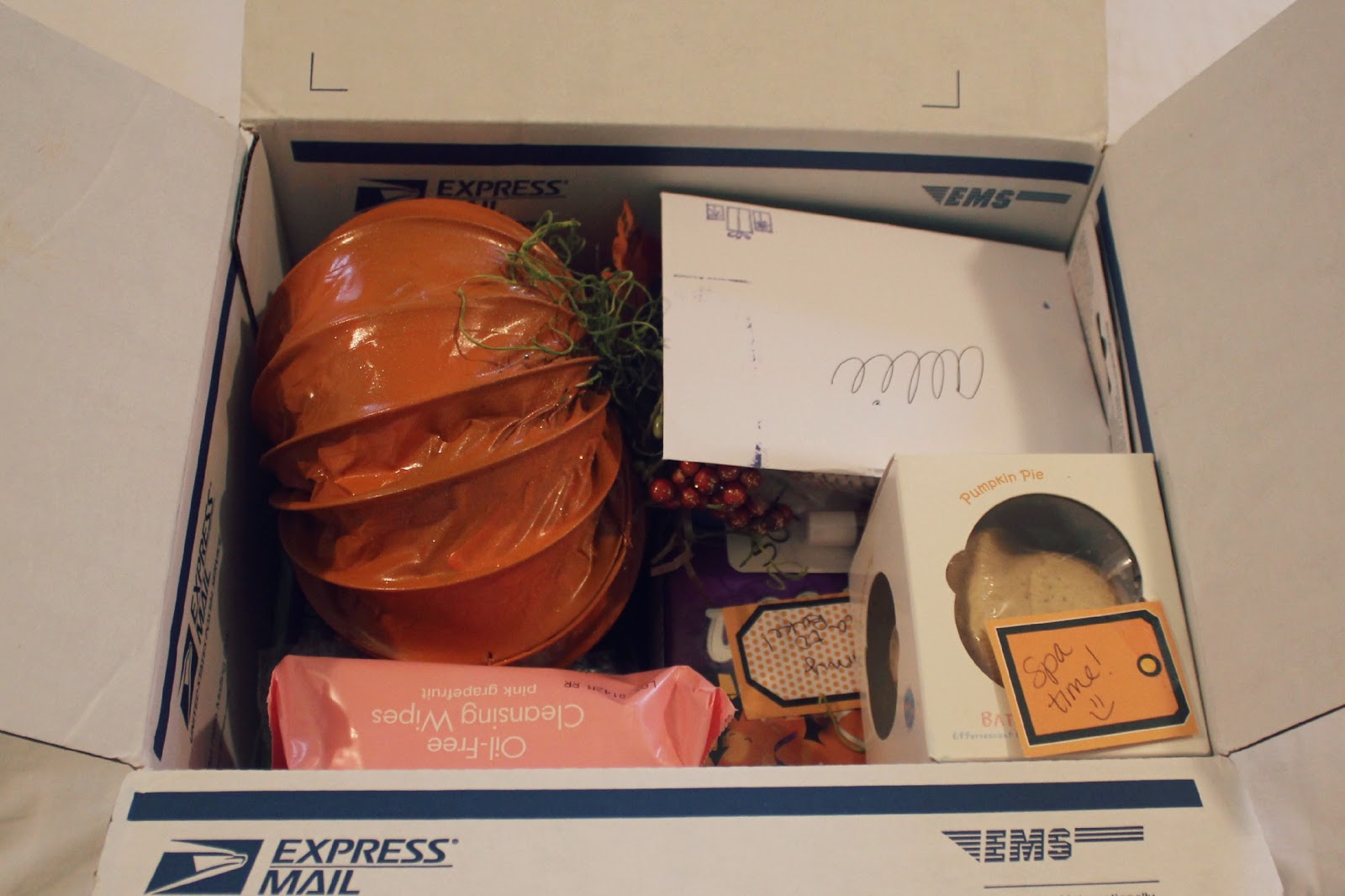 Little Mouse's House: cara box reveal!