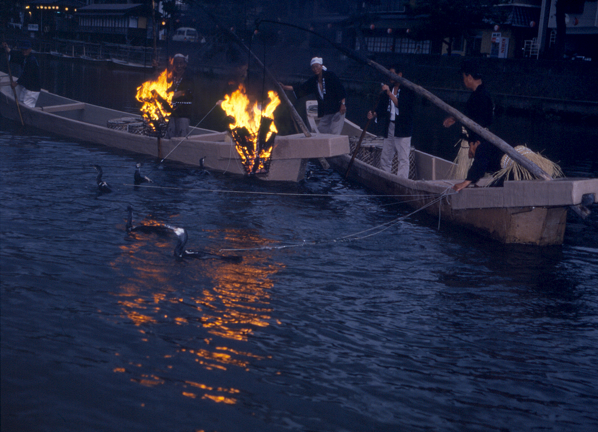 Who is afraid of visiting Japan: Ukai ( cormorant fishing ) in ...