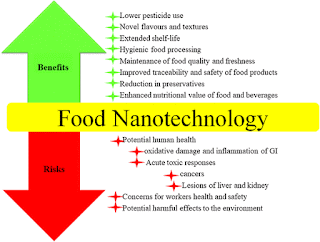ISO 22000 Resource Center: Nanotechnology in Food Safety