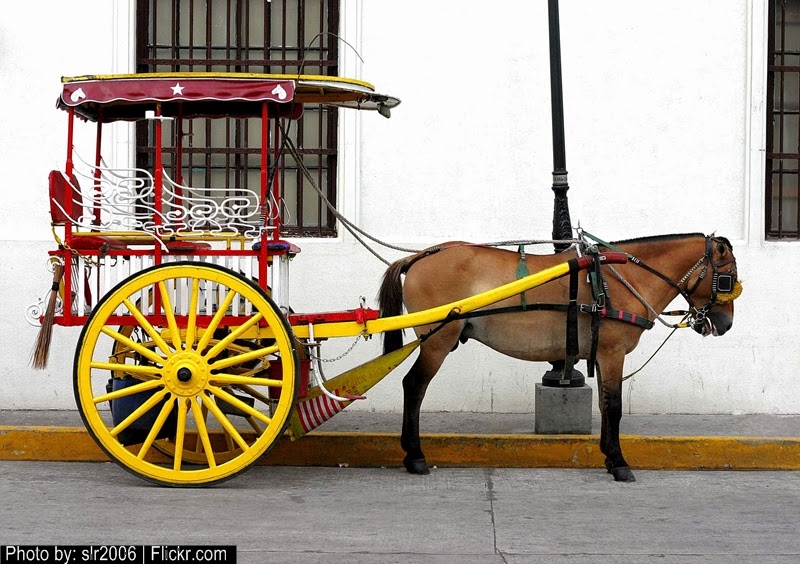 What Michael Likes: 10 Incredible Facts The Jeepney Has Revealed About ...