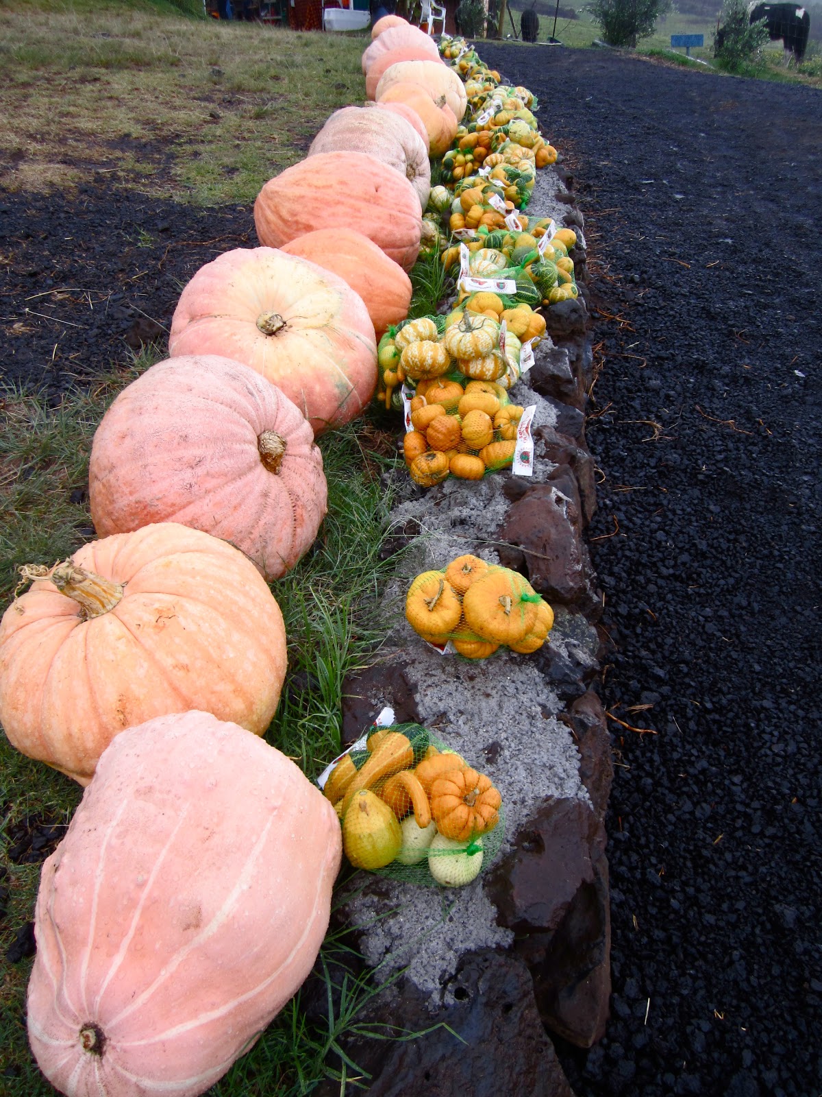 cook a mama: Cinnamon Sugar Pumpkin Seed Granola Parfait