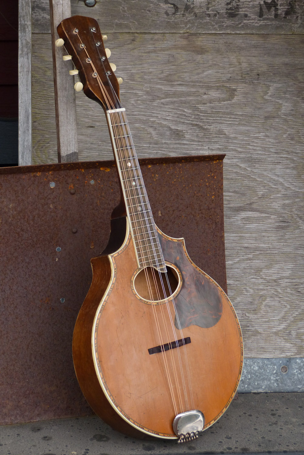 1920s Regal-made Two-Point Flatback Mandolin