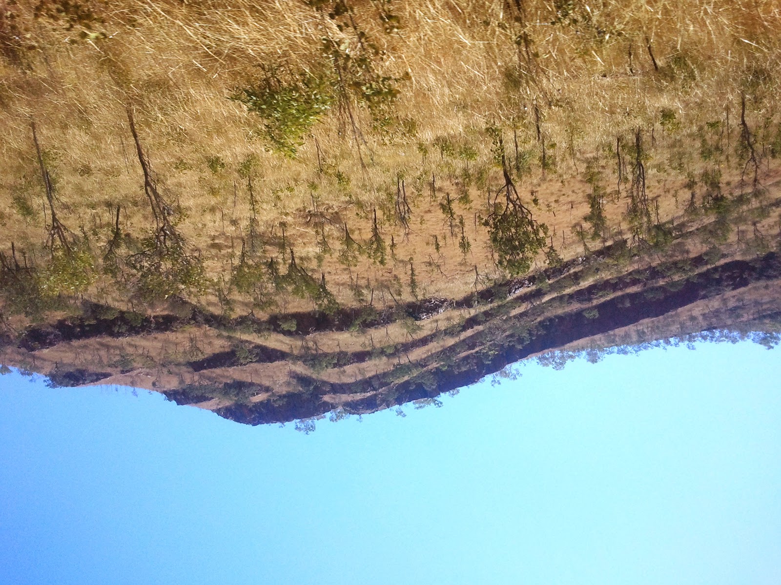 Balgo Living!: My Badd...