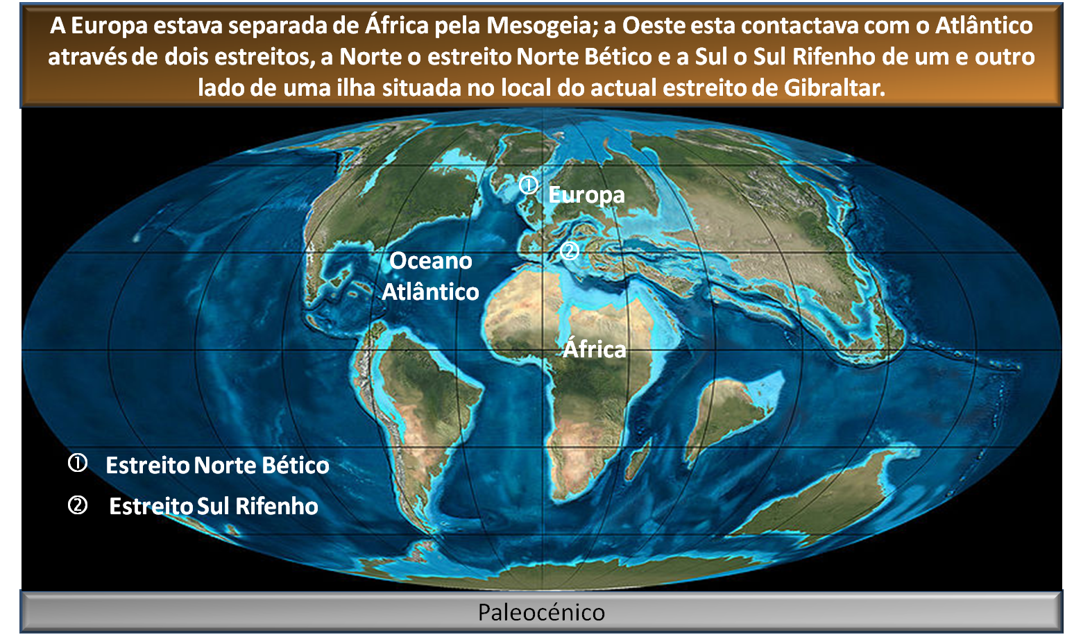 EstratoBlografia: Geistória: Era Cenozóico - Periodo Paleogénico