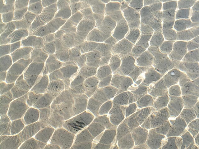 nickyskye meanderings: Webs of light on and in water - swimming pool ...